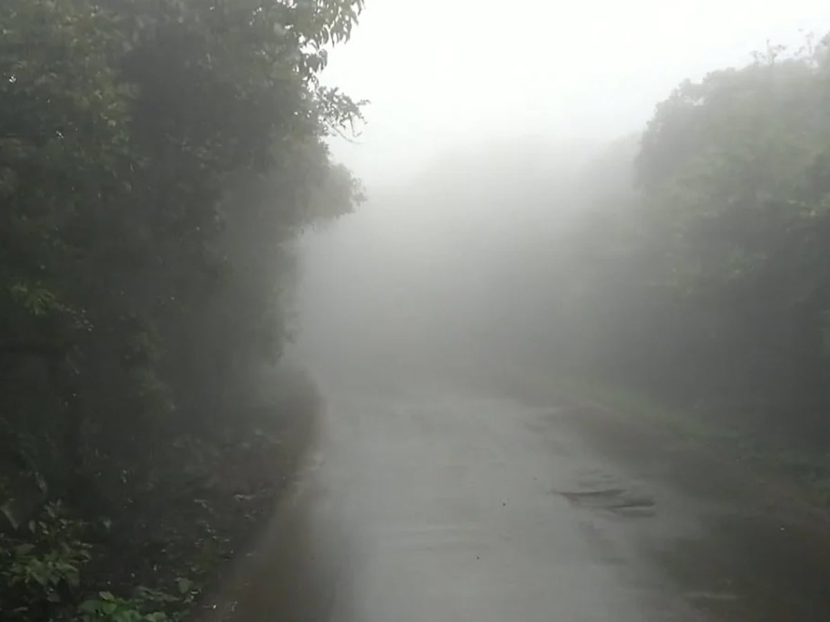 Are Flashing Arrow Panels Visible in Foggy Conditions?