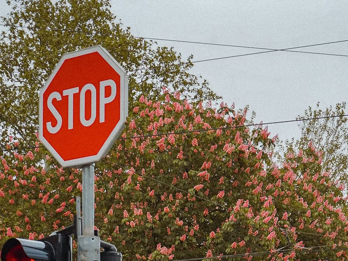 The Various Types of Stop Signs and Their Functions